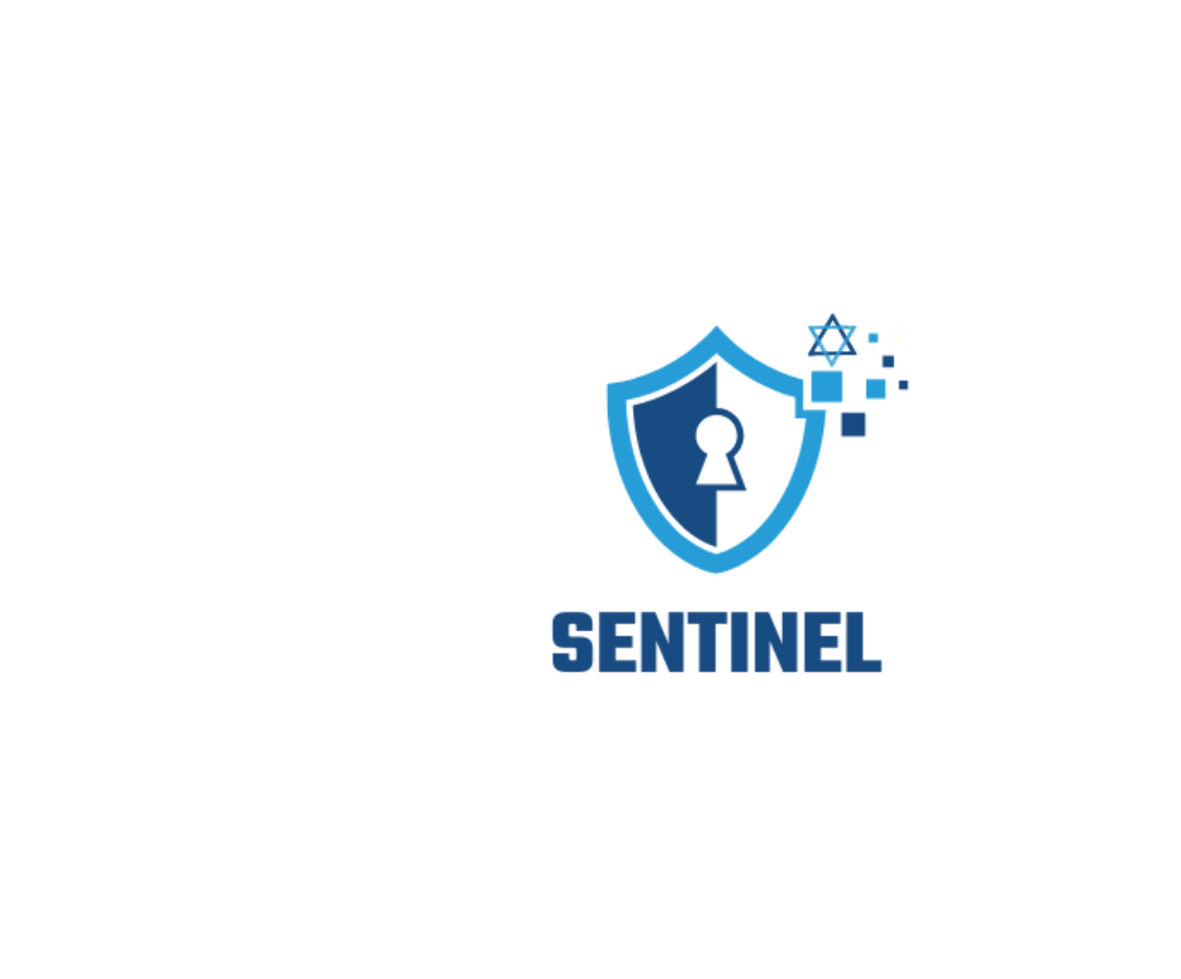 SENTINEL | International Centre for Counter-Terrorism - ICCT